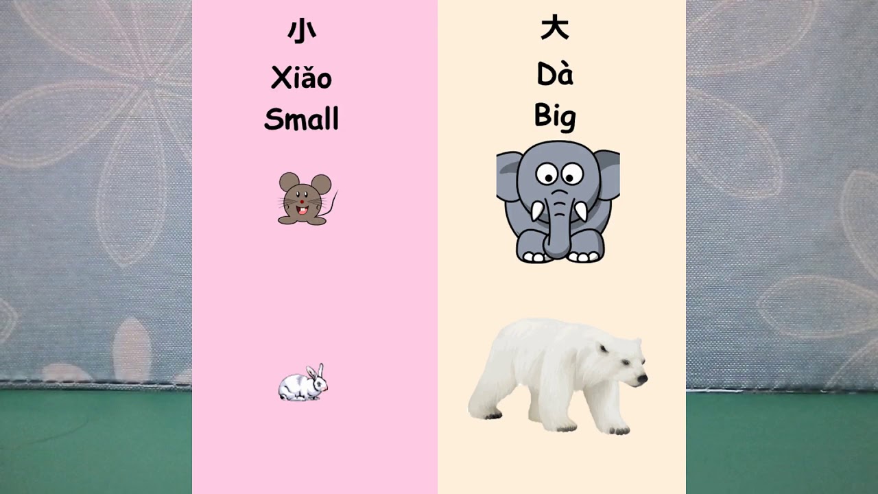 Learning small and big in Chinese Mandarin - YouTube