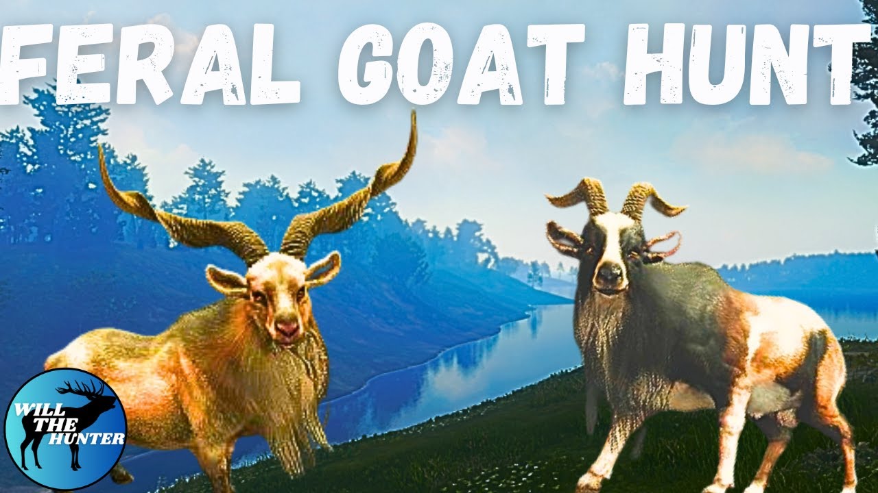 Hunting A Max Level & Rare Mixed Feral Goat At Level 32! TheHunter Call ...