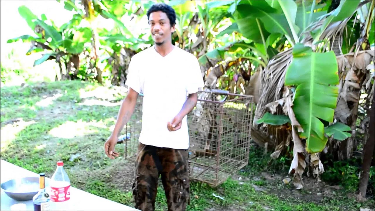 TRINIDAD STRAIN HUNTERS - The Hunt For The Deisel Kush - YouTube