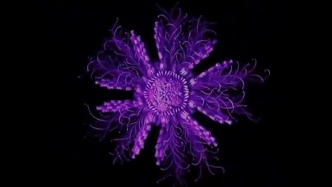 ENIGMA-METAMORPHOSIS - YouTube