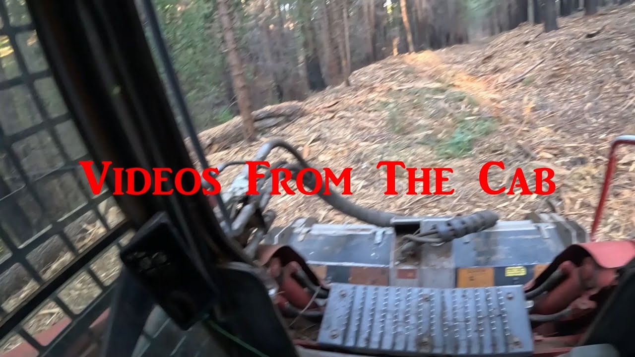 Forest Mastication With The FAE Sonic Head and Takeuchi TL12. ASMR ...