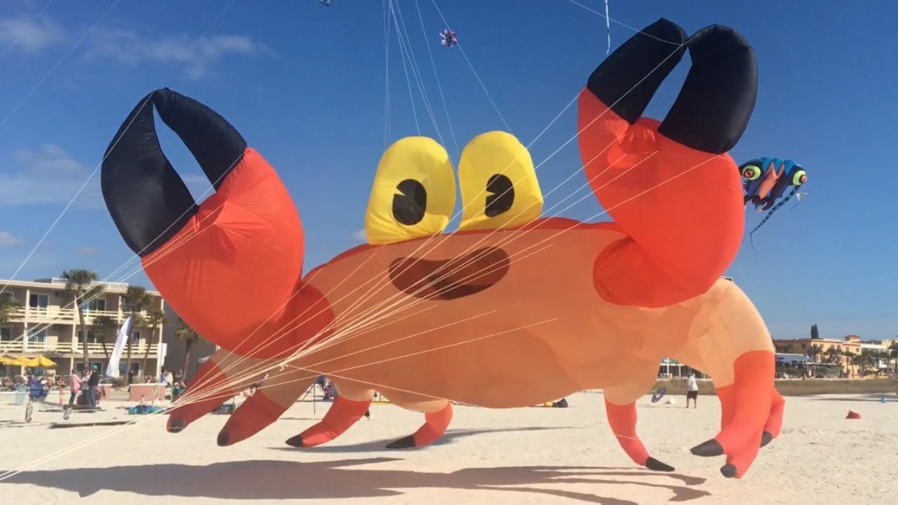 Giant Flying Crab - YouTube