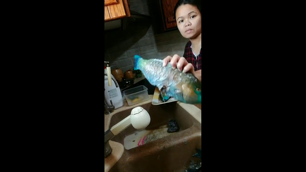 Stone Fish cleaning - YouTube