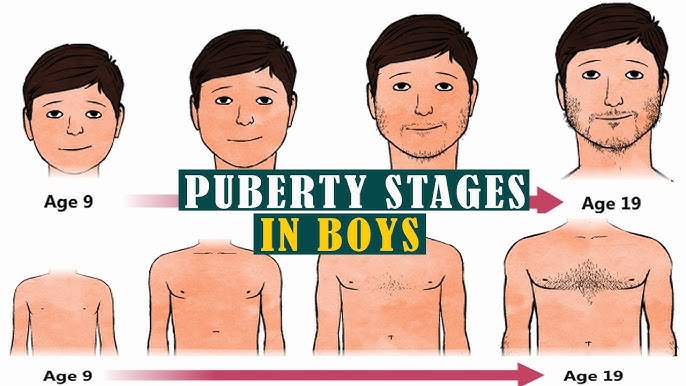 Learn About The Stages Of Puberty In Boys With Images