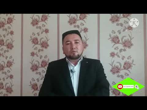 Chivin va Pashsha qissasi || Tasirli qissa || Muhammadshokir domla