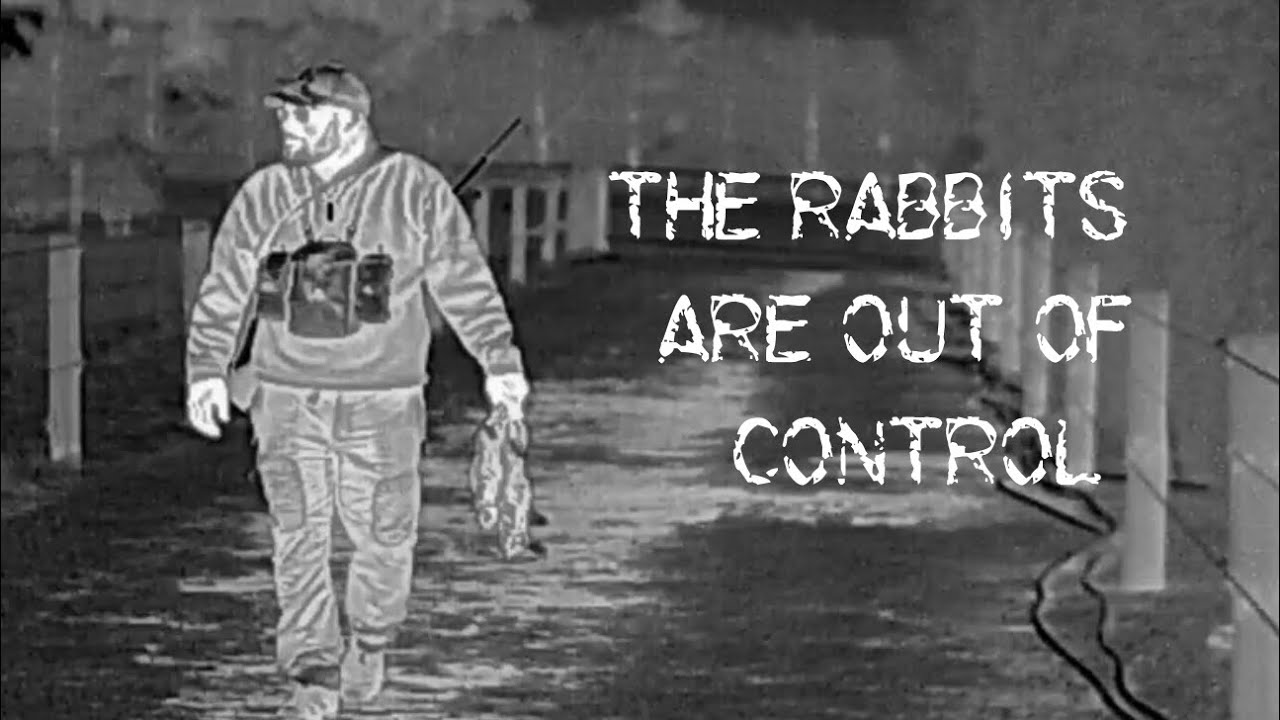 Rabbit Hunting with .22LR - YouTube