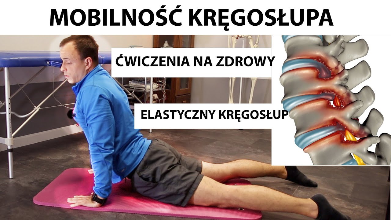 Mobilność kręgosłupa 🚷 Jakie najlepsze ćwiczenia mobilizacyjne na ...