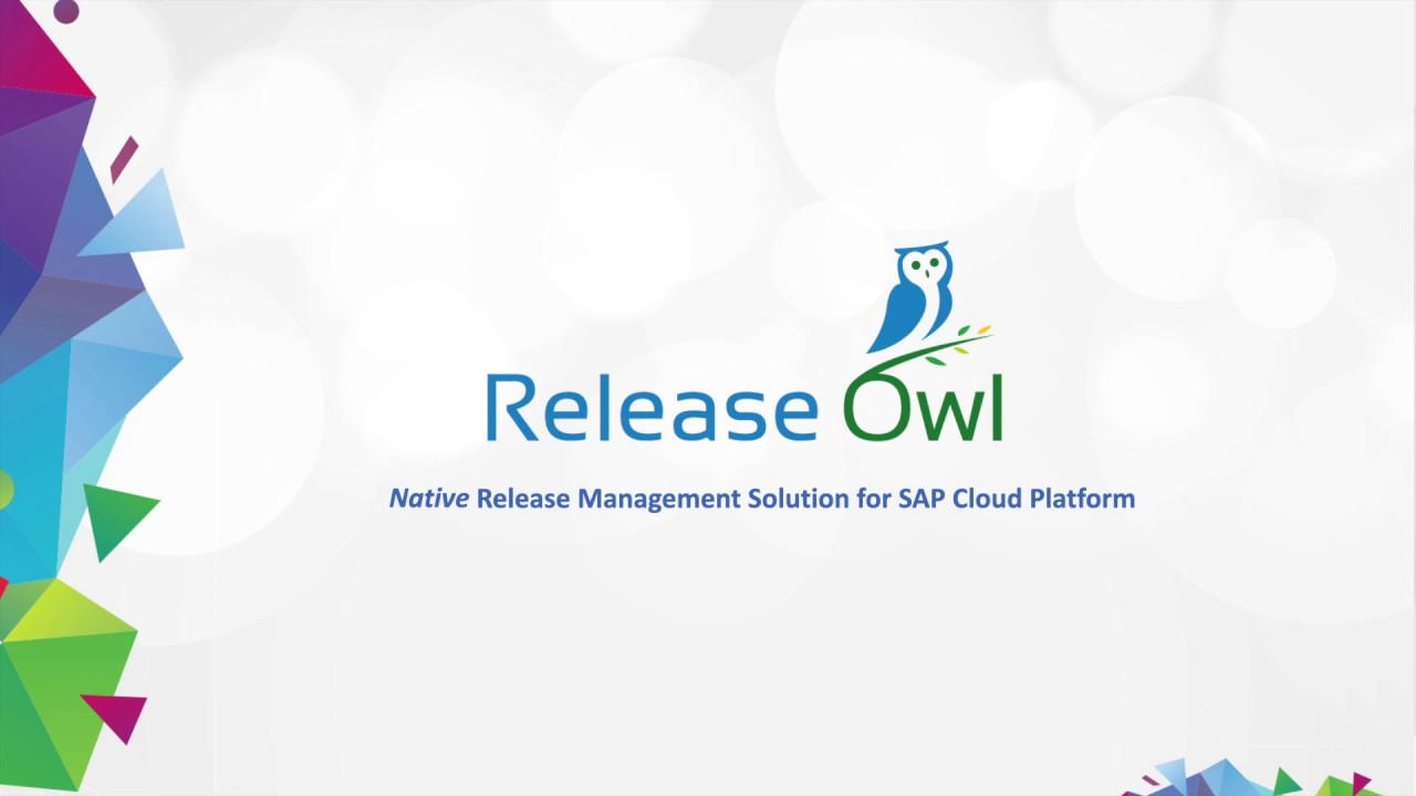 ReleaseOwl For SAP Cloud - Native Release Management for SAP Cloud ...
