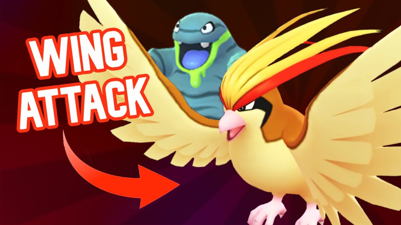 *LEGACY* WING ATTACK PIDGEOT AND XL ALOLAN GRIMER TEAM UP TO TAKE ON ...