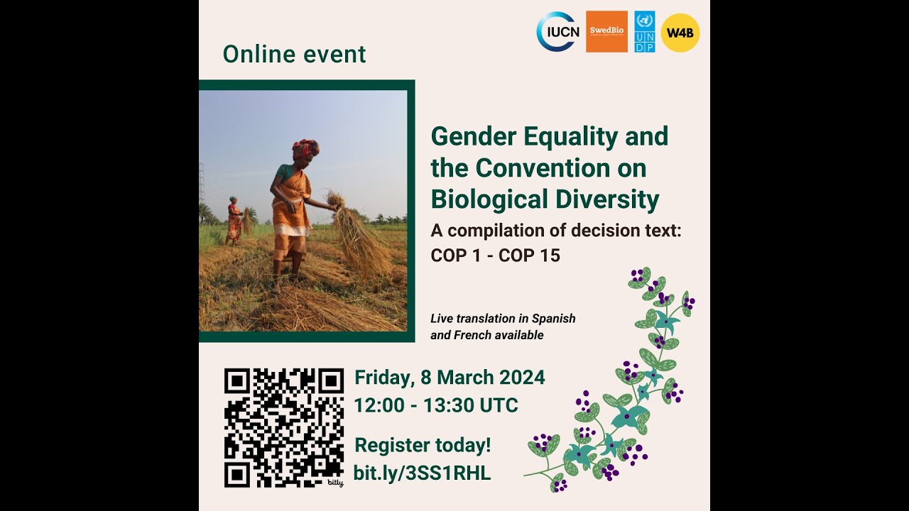 Int'l Women's Day 2024: Gender Equality and The Convention on ...
