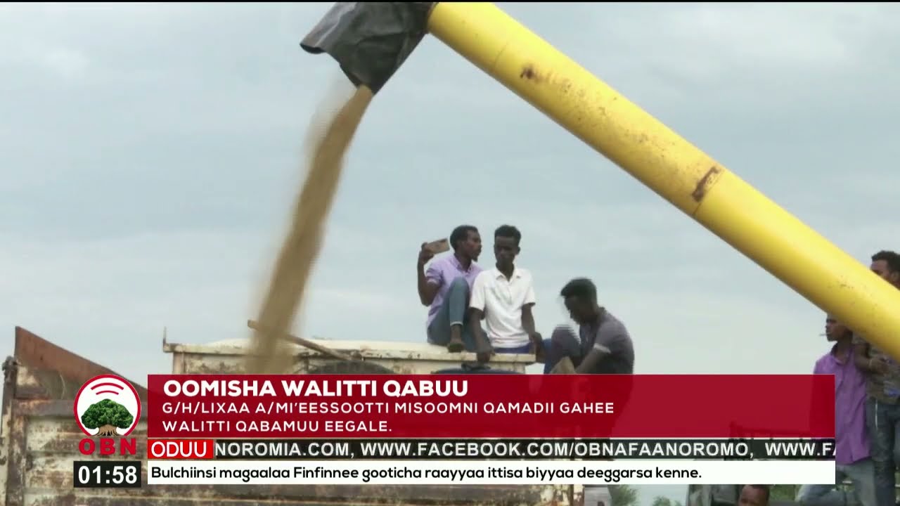 Qamadii Kilaastaran omishame - YouTube