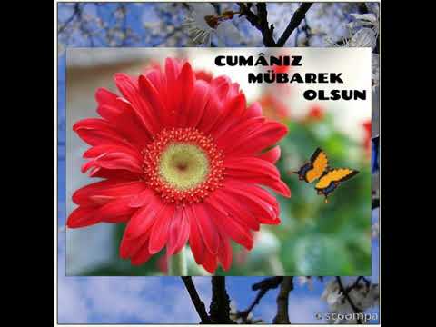 Cuma mesajları