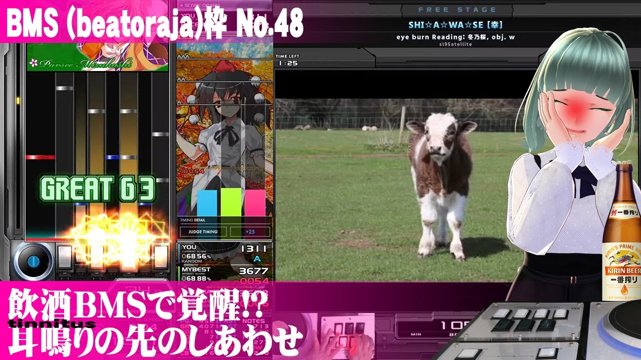 【beatoraja】No.048 飲酒BMSで覚醒!? 耳鳴りの先のしあわせ - YouTube