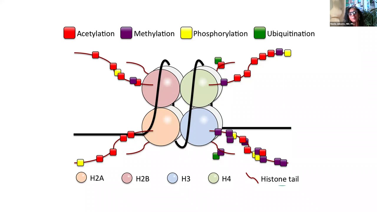 Oncohistones: Prime Susceptibilities and Opportunities - YouTube