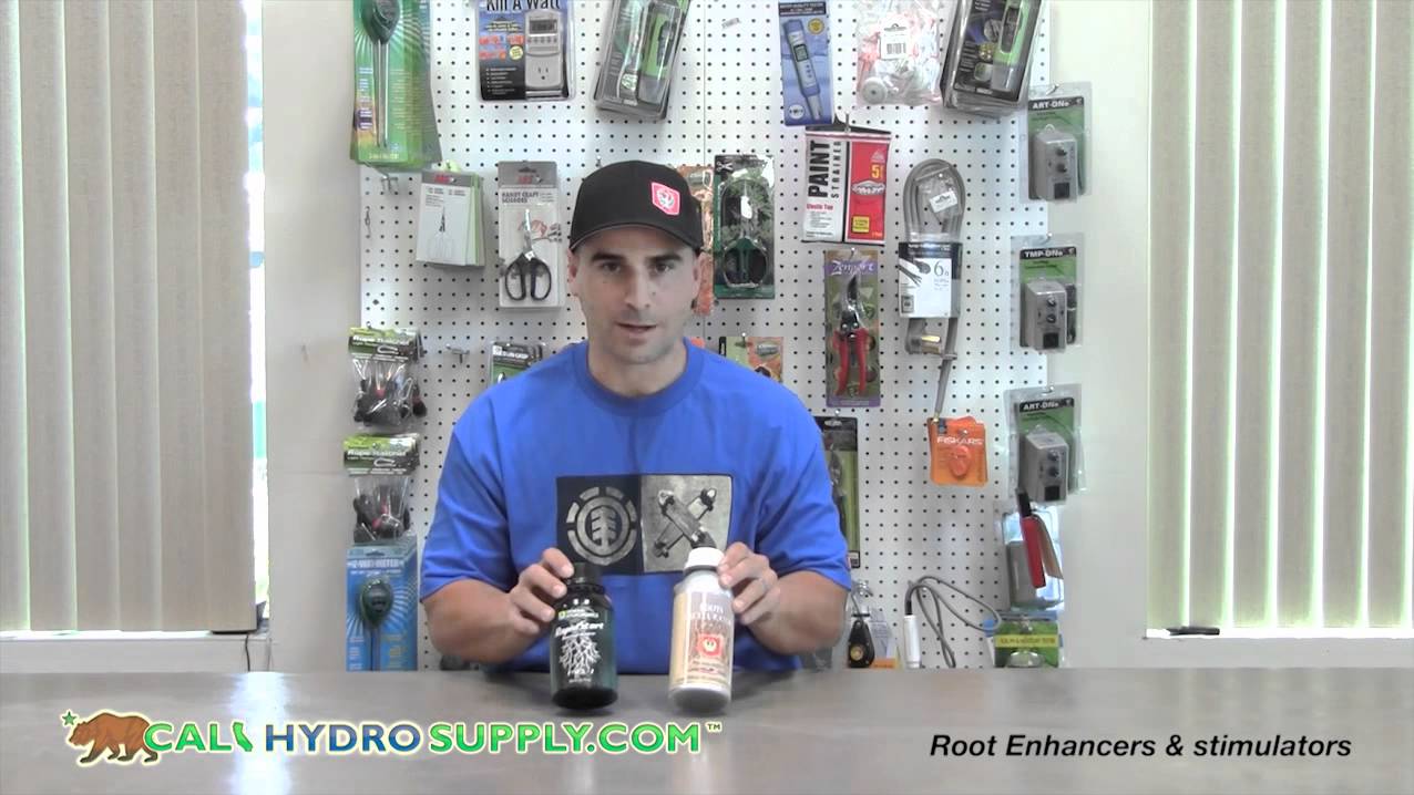 Information about Rapid Start and Roots Excelurator, two popular root ...