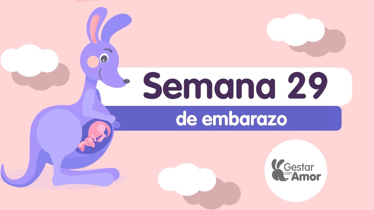 Semana 29 de embarazo: ¡Empieza a prepararte! - YouTube