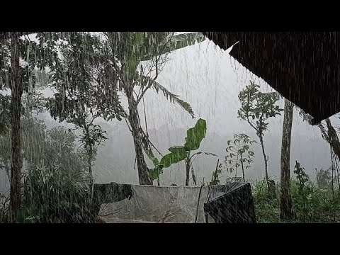 World’s Most Viral Rain Sound 🌧️ | Sleep Instantly & Relax Deeply (ASMR)