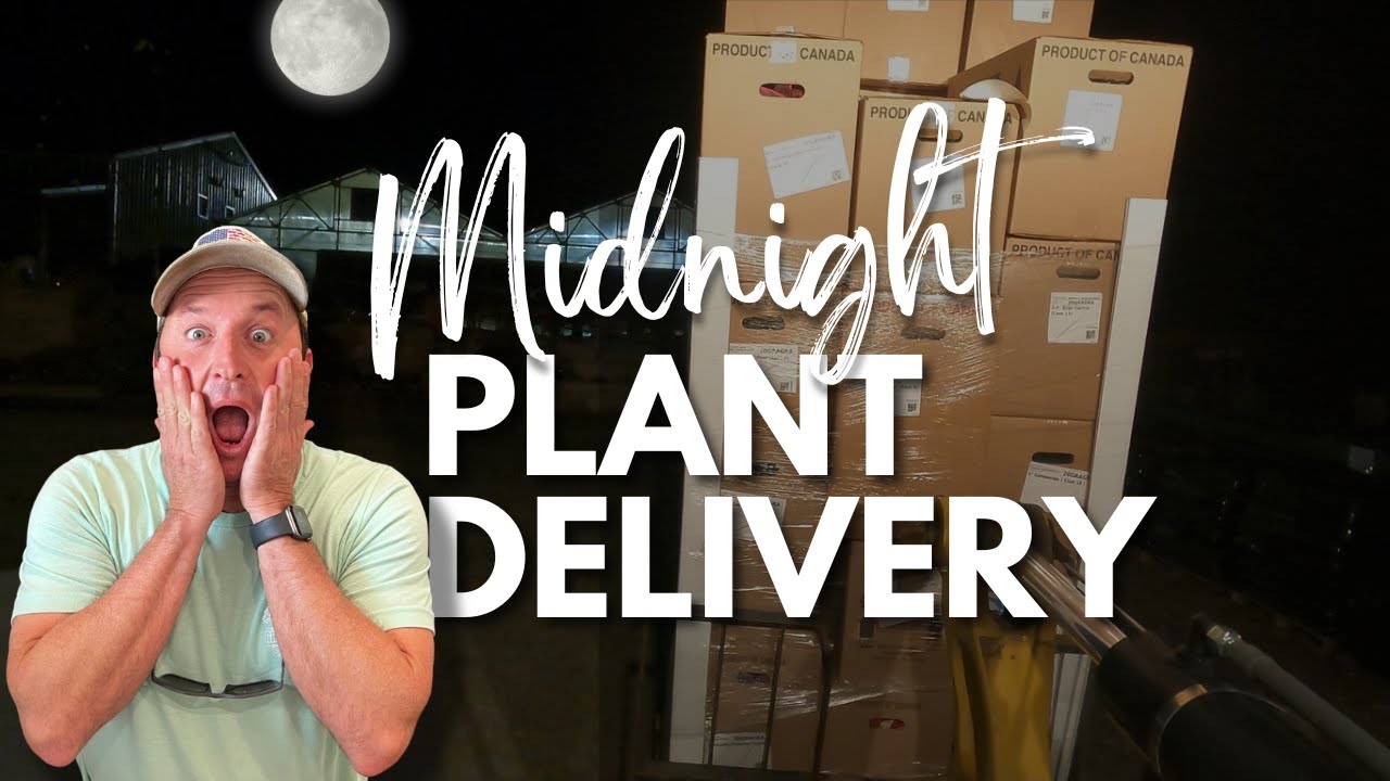 The Thrills (and Chills) of a Midnight Plant Delivery - YouTube