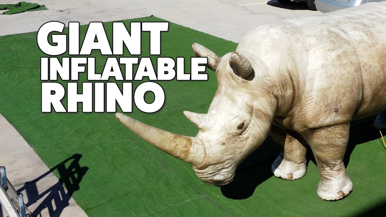 Giant Inflatable Rhino - YouTube
