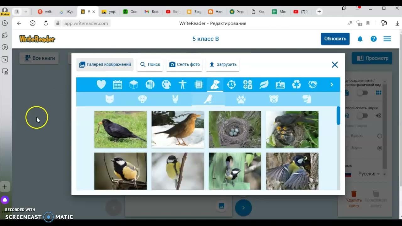Работа по созданию книг на WriteReader - YouTube