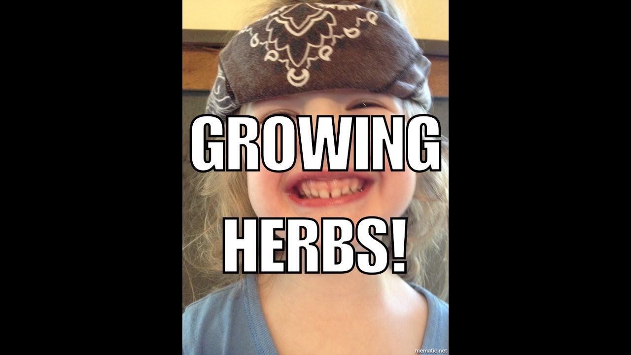It's All About the Herbs, Man!/Daily Vlog Challenge #2 of 30 - YouTube