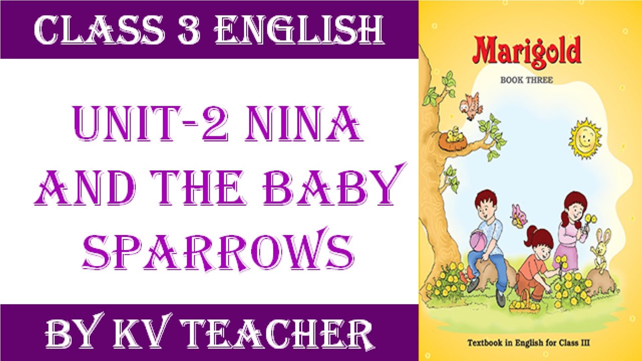 Nina and the Baby Sparrows - Unit 2 Class 3 English - YouTube
