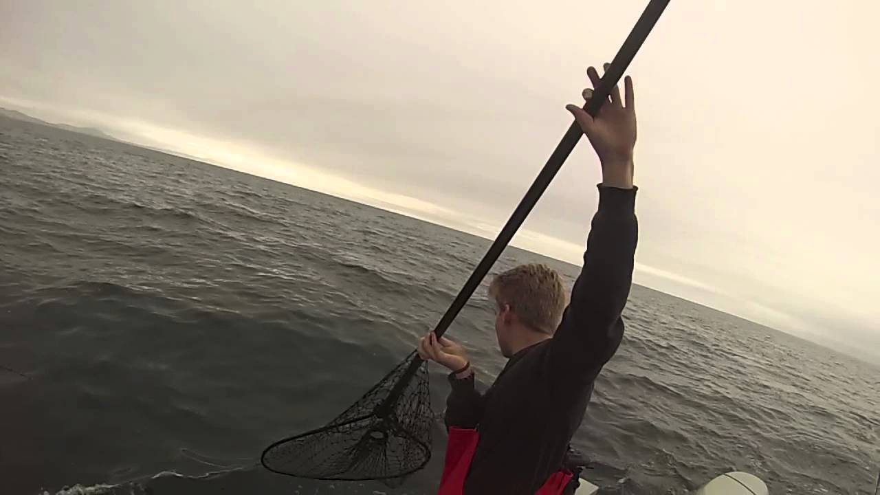 Salmon Fishing out of the Golden Gate 10 17 15 - YouTube