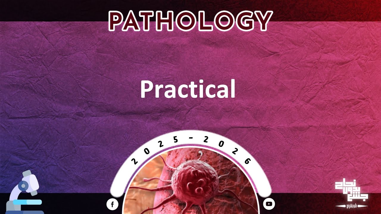 Pract: Jars and slides of lymphatic system; Pathology - YouTube
