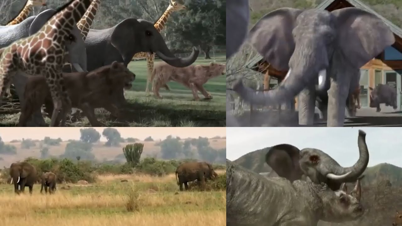 Zoombies 2 [2019] - Elephant Screen Time - YouTube