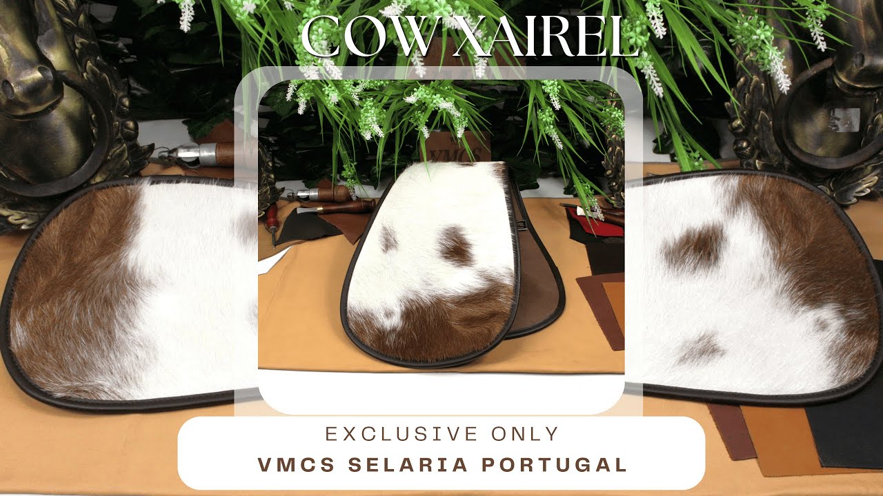 Bicolor Brown Cow XAIREL - YouTube