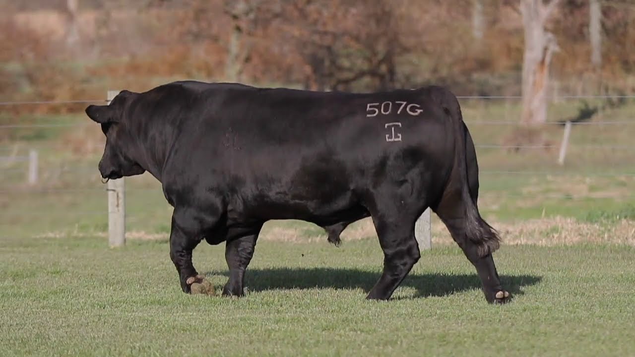 GAR Dual Threat - YouTube