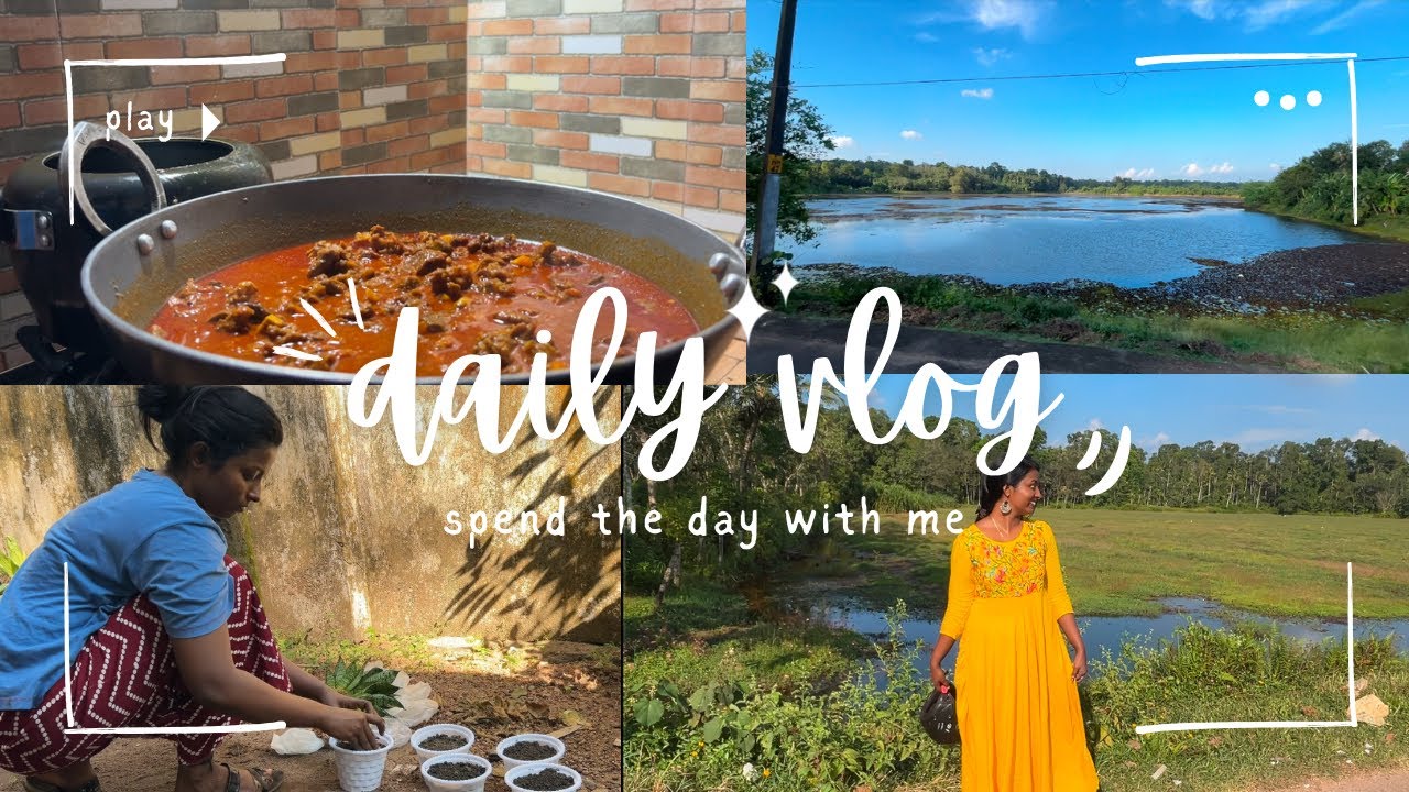 Sunday Bliss: Repotting Plants, Cooking Delights & Dancing Joyfully 🌱🍳 ...