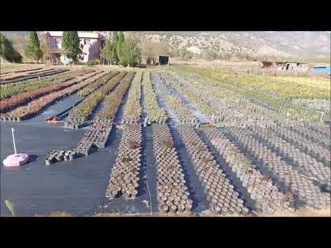 ESKİŞEHİR MAYISLAR KÖYÜ TANITIM FİLMİ