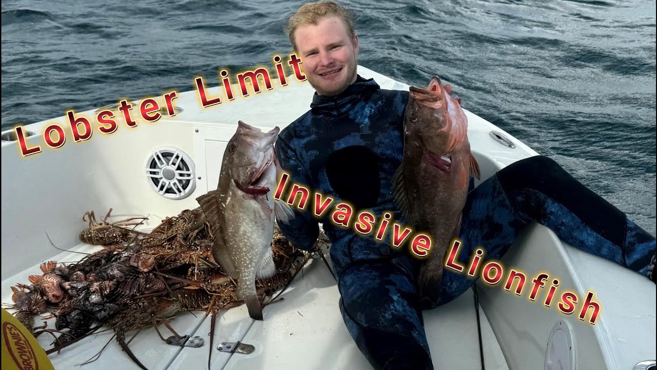 How to Catch Invasive Lionfish while Lobstering and Spearfishing - YouTube