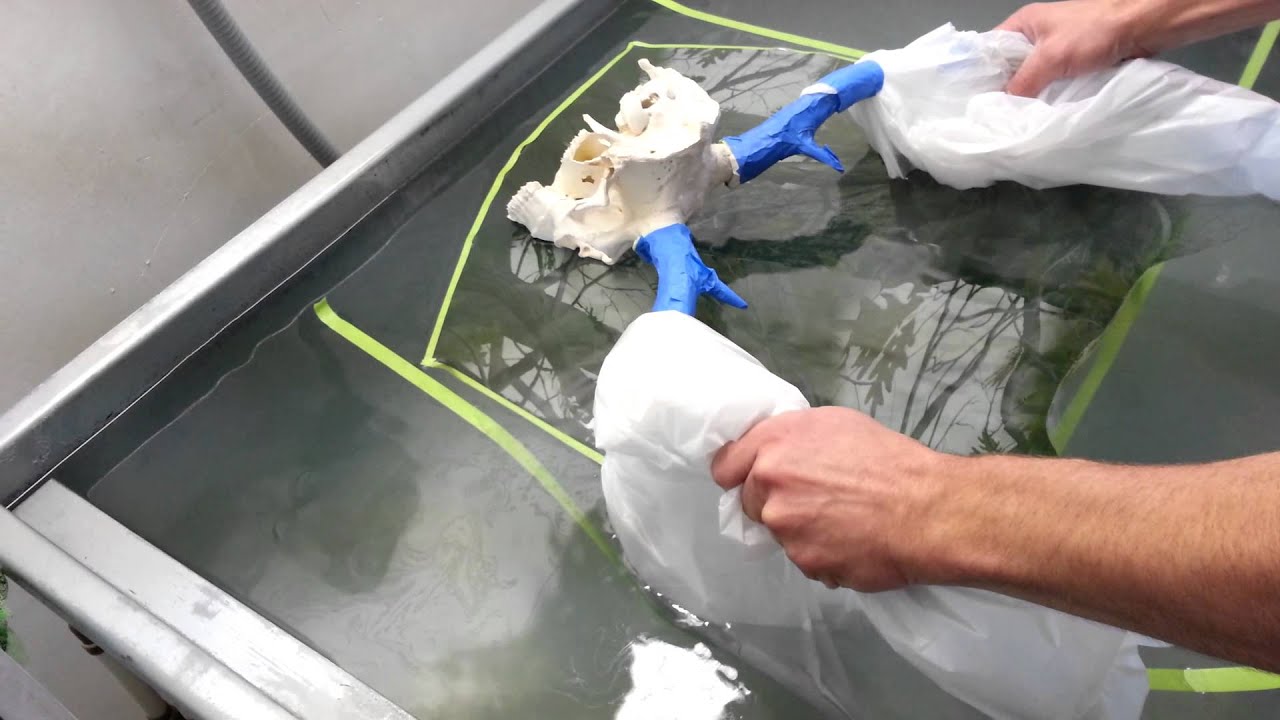 Deer skull hydro-dipped through camo - YouTube