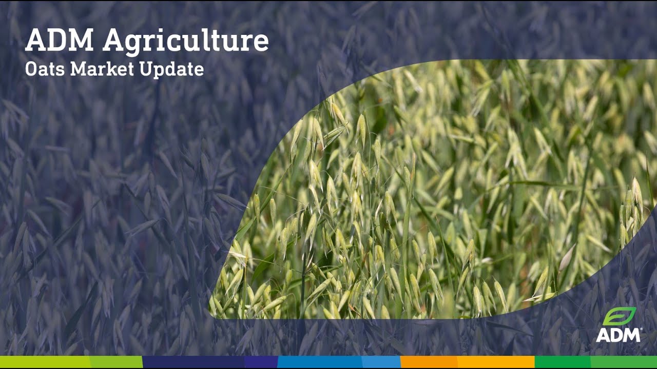 Spring Oats: Planting Tips & Marketing Strategies with James Forster ...