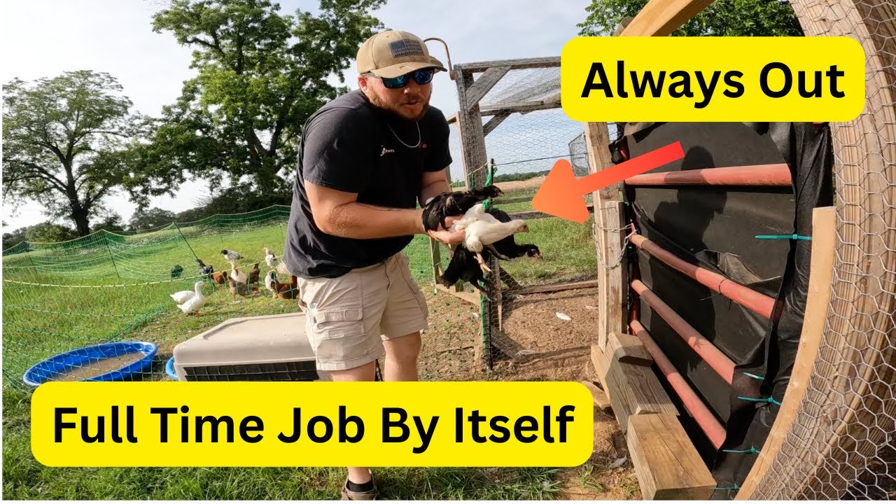 You Can Farm Even With a Full-Time Job—Here’s How I Do It - YouTube