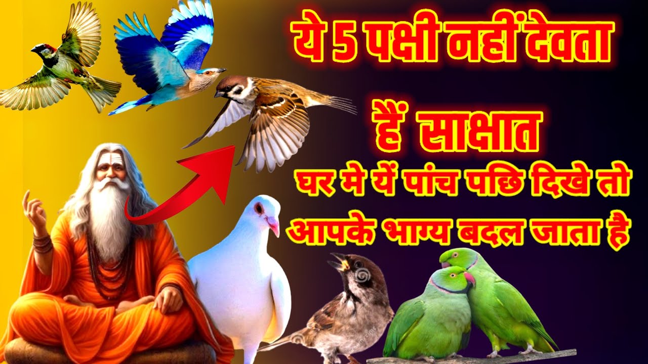 वास्तु शास्त्र-Lucky Birds|ये 5पक्षी नहीं देवता हैं साक्षात|ghar mein ...