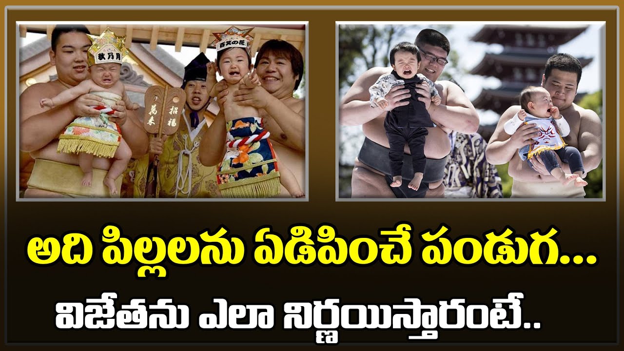 The Naki Sumo Crying Baby Festival Japan | అది పిల్లలను ఏడిపించే పండుగ ...