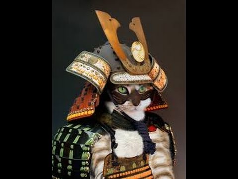 Dark Souls 2 Crazy samurai build pvp - YouTube