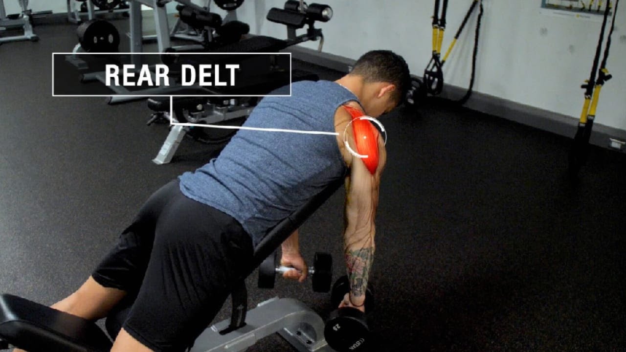 6 EFFECTIVE REAR DELT EXERCISES WITH DUMBBELL ONLY - YouTube