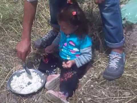 mardin düztaş köyü tahtık ( pinik manzarası.)