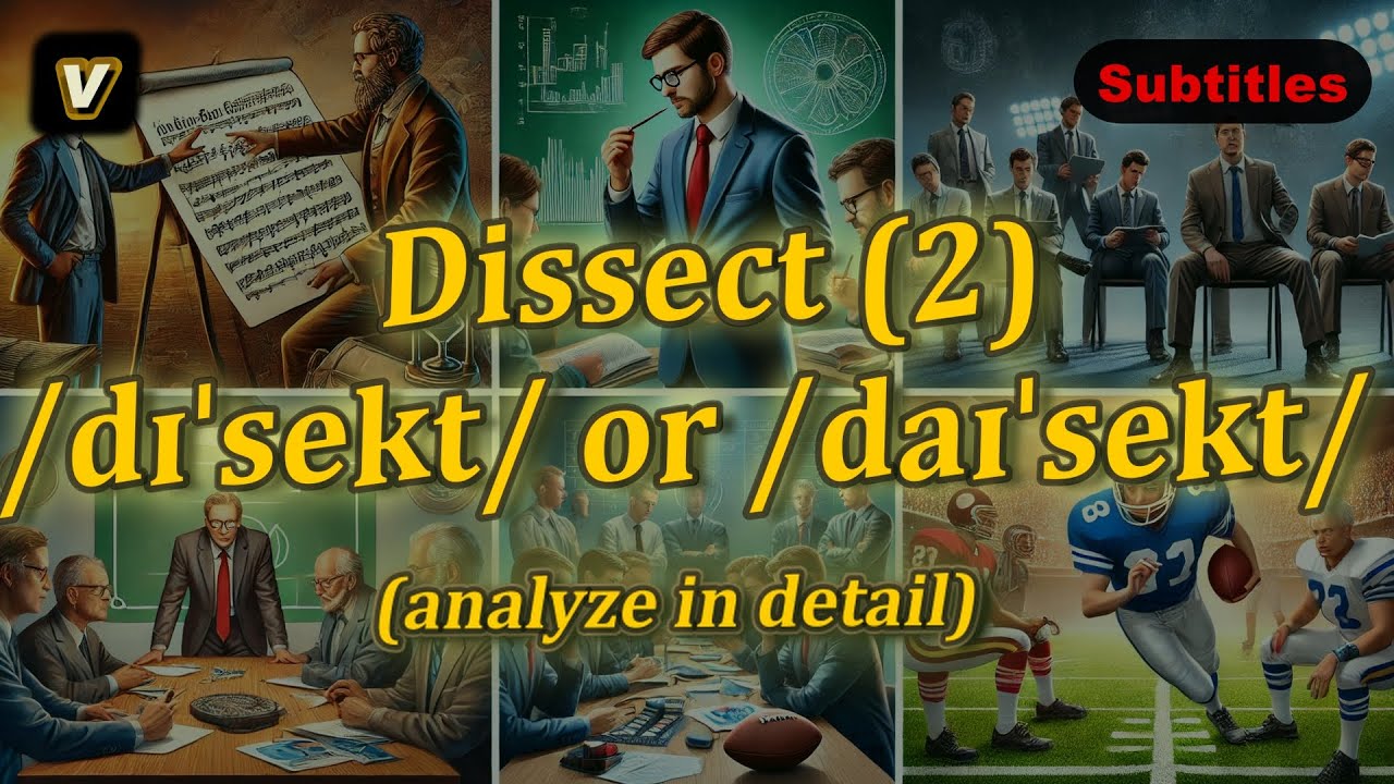 [v] Dissect meaning (analyze in detail) with 5 examples - YouTube