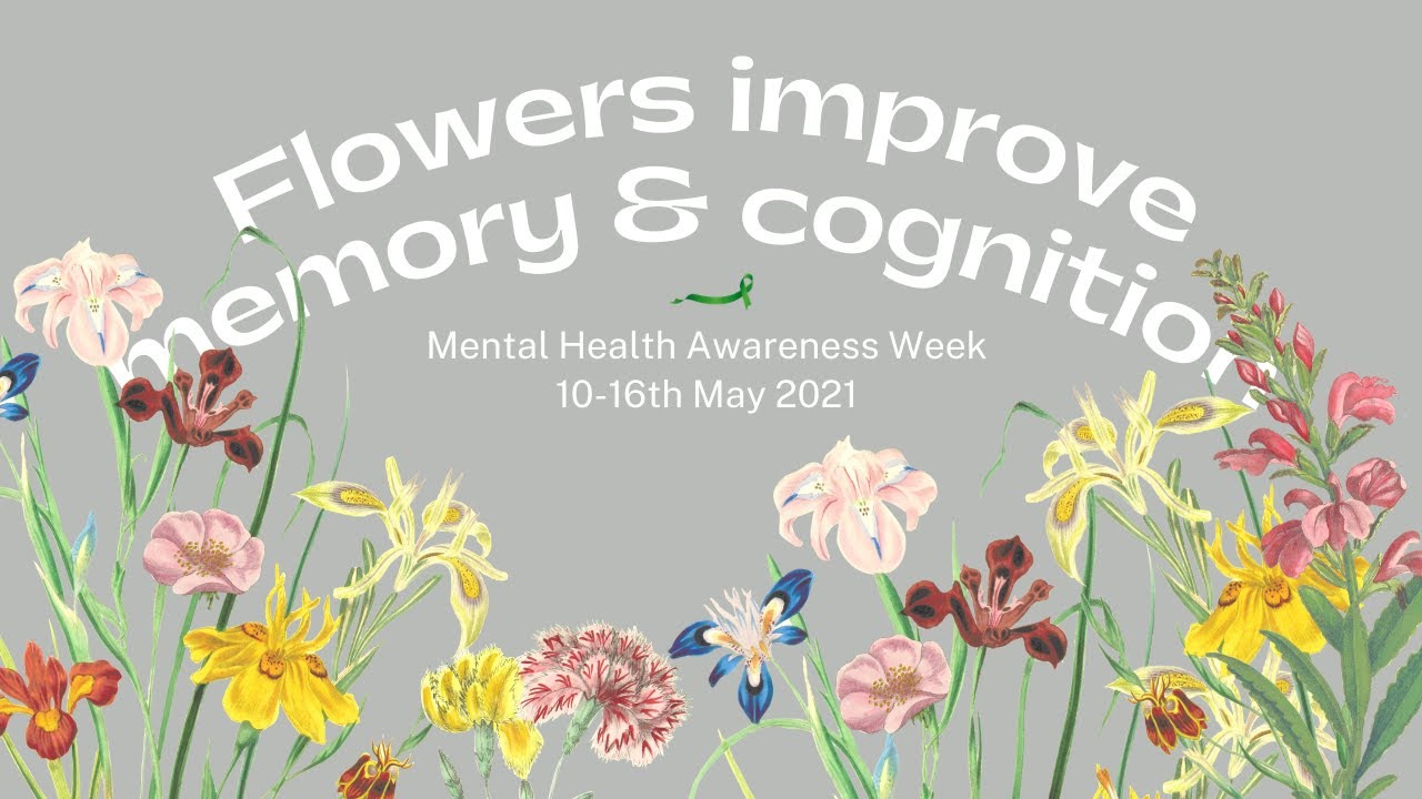 CAN FLOWERS IMPROVE YOUR MEMORY? - YouTube