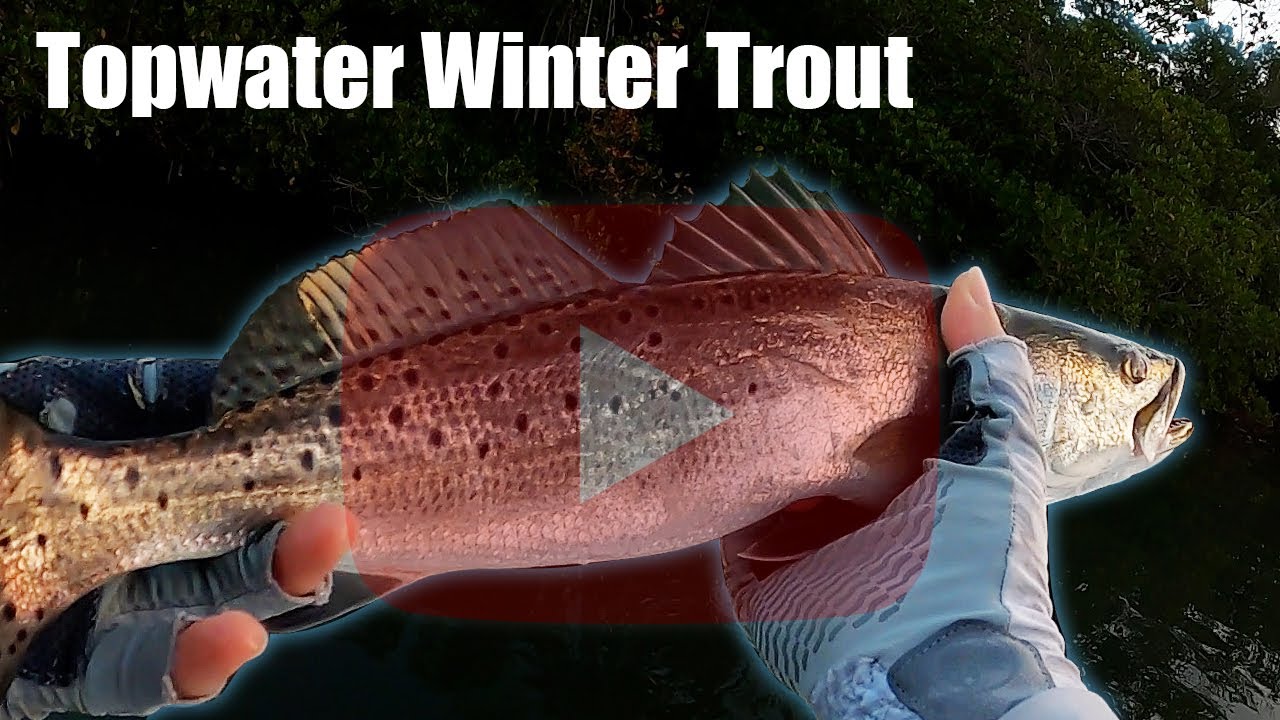 Fishing Topwater in Winter Lands Some Trout! - YouTube