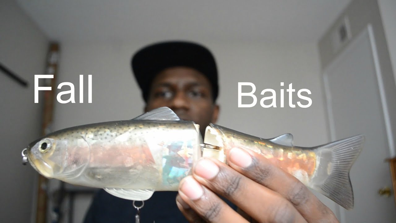 Top 5 Fall Bass Fishing Baits - YouTube
