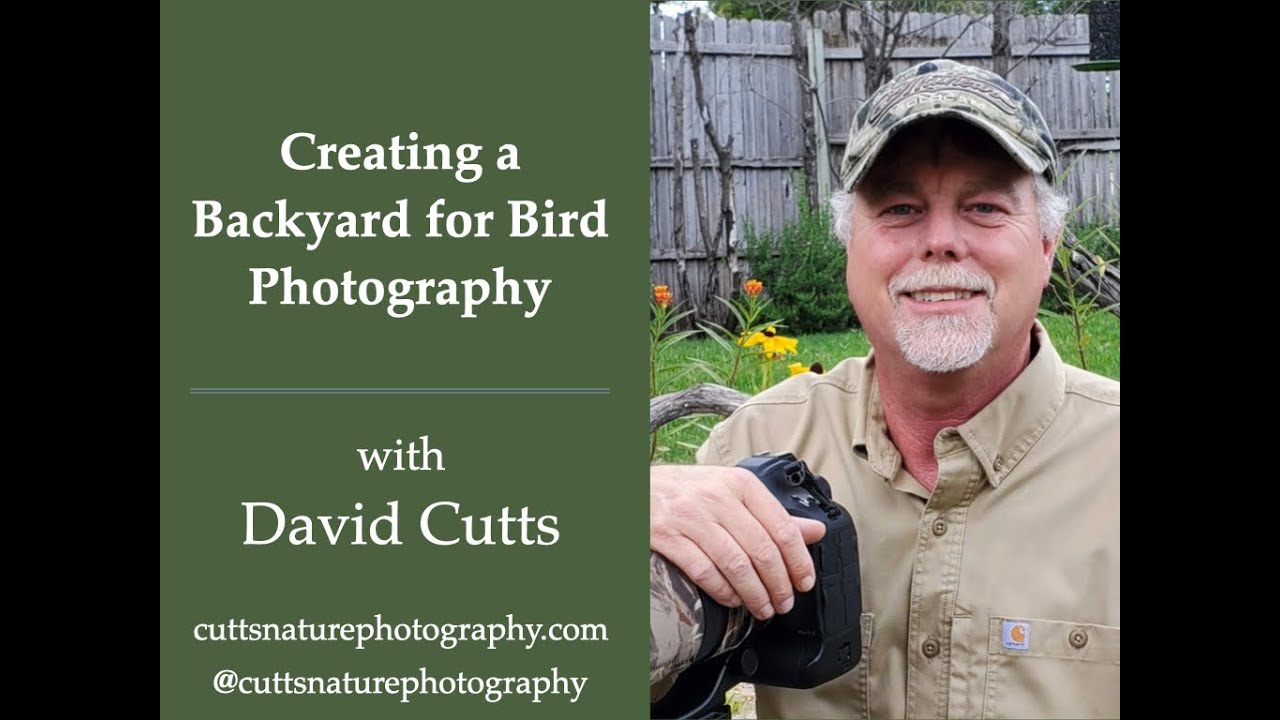 Session 68 - Creating a Backyard for Bird Photography with David Cutts ...