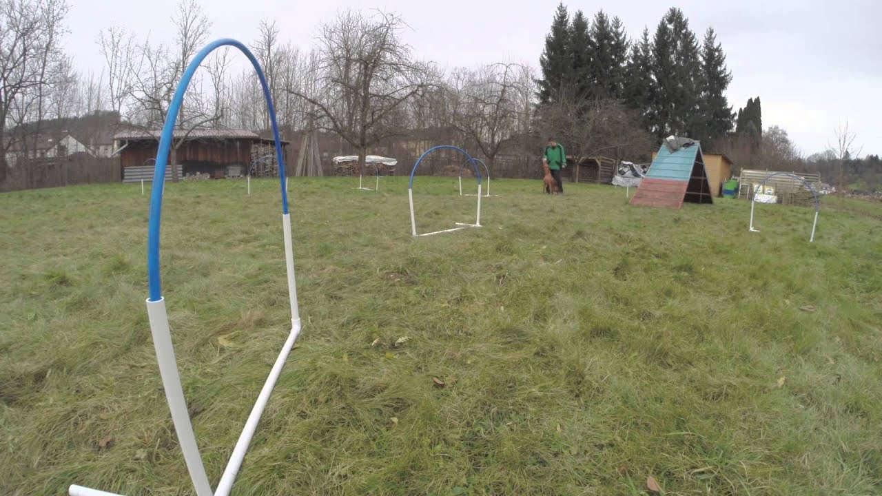 NADAC Hoopers-Agility: Flip Training rechts & links - YouTube