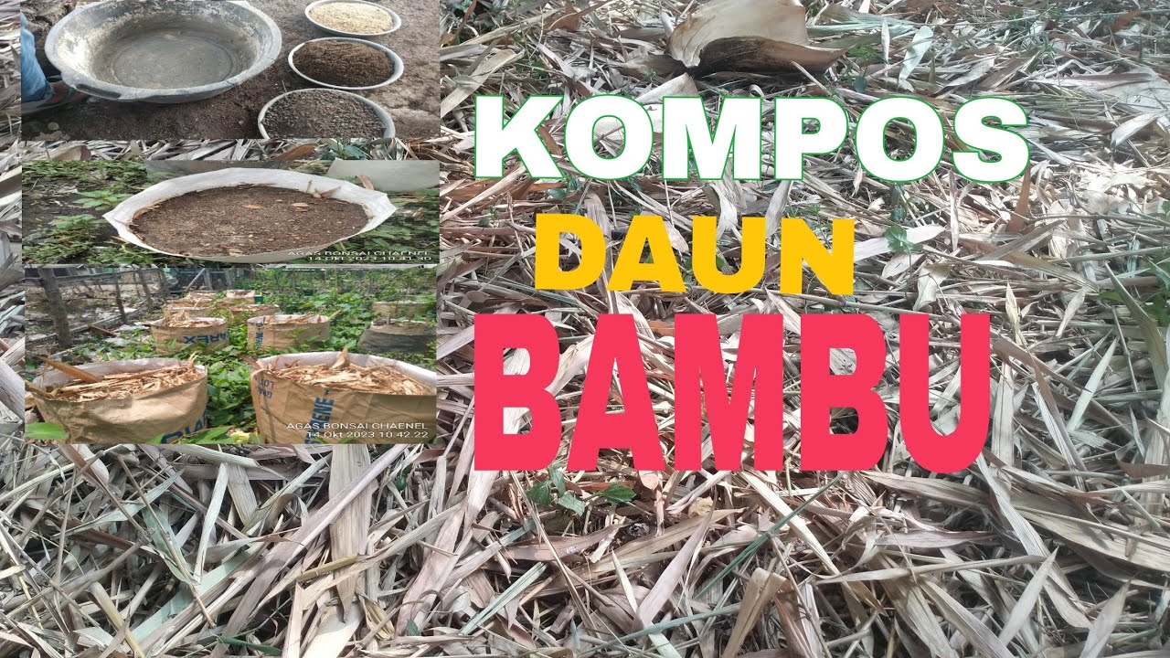KOMPOS DAUN BAMBU// MEMANFAATKAN DAUN BAMBU. - YouTube