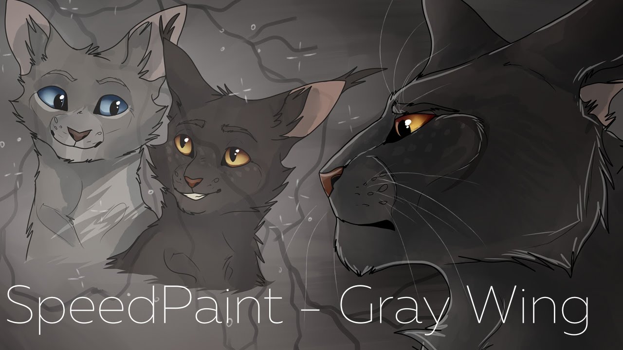 [WARRIORS] SpeedPaint - Gray Wing - YouTube